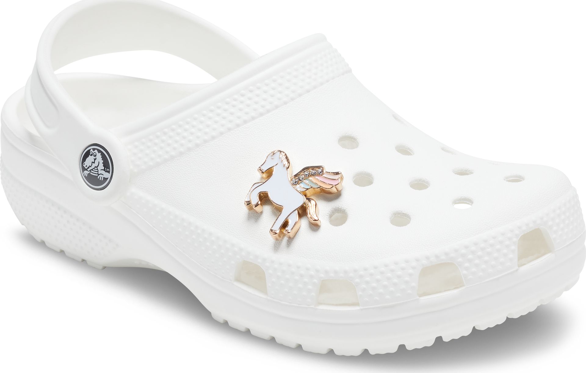 Crocs™ Elevated Pegasus | OPEN24.LT