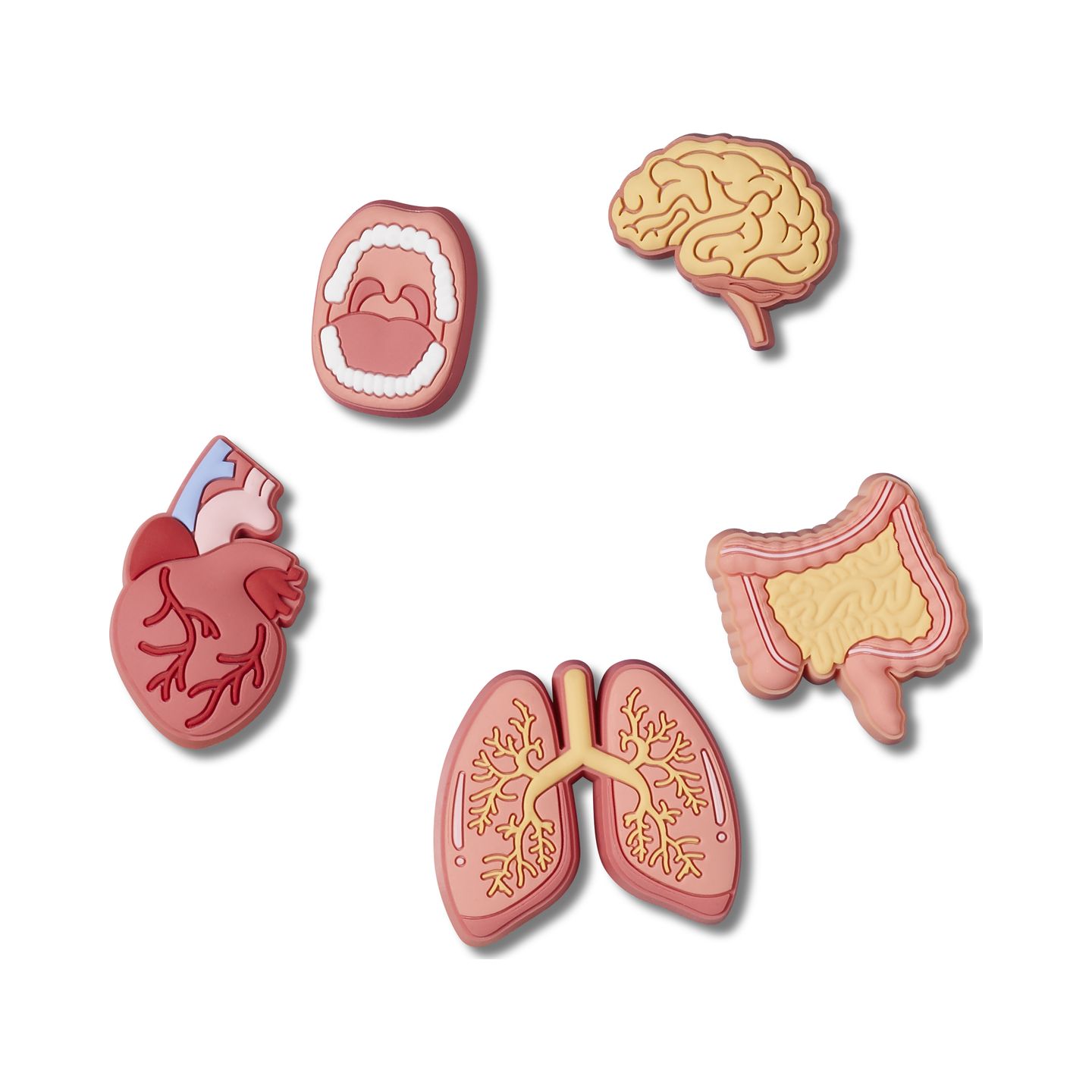 Crocs™ ANATOMY 101 5 PACK G1130600-MU | OPEN24.LT