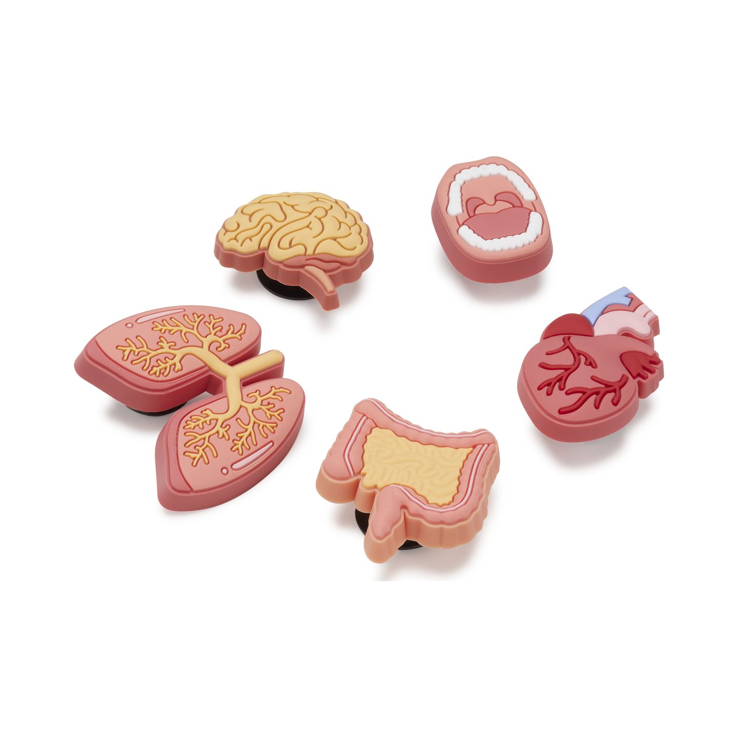 Crocs™ ANATOMY 101 5 PACK G1130600-MU | OPEN24.LT